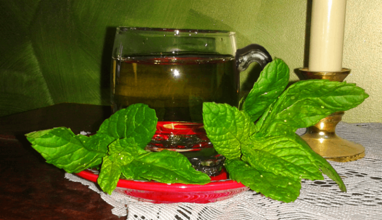 Mint Infusion - The Wannabe Healthy Fruit Bat